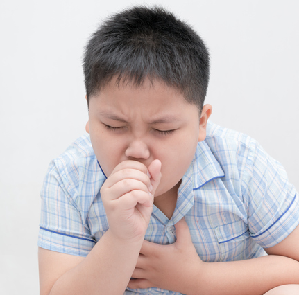 Index of /wp-content/uploads/2018/12